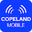 Download and run Copeland™ Mobile on PC & Mac (Emulator)